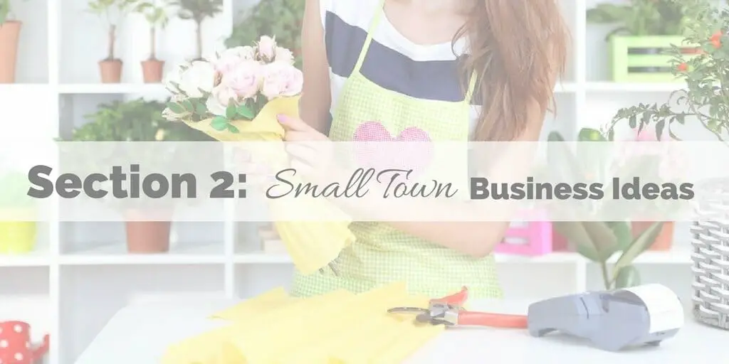 Small Town Business Ideas - Over 50 Great Business Ideas for Small and ...